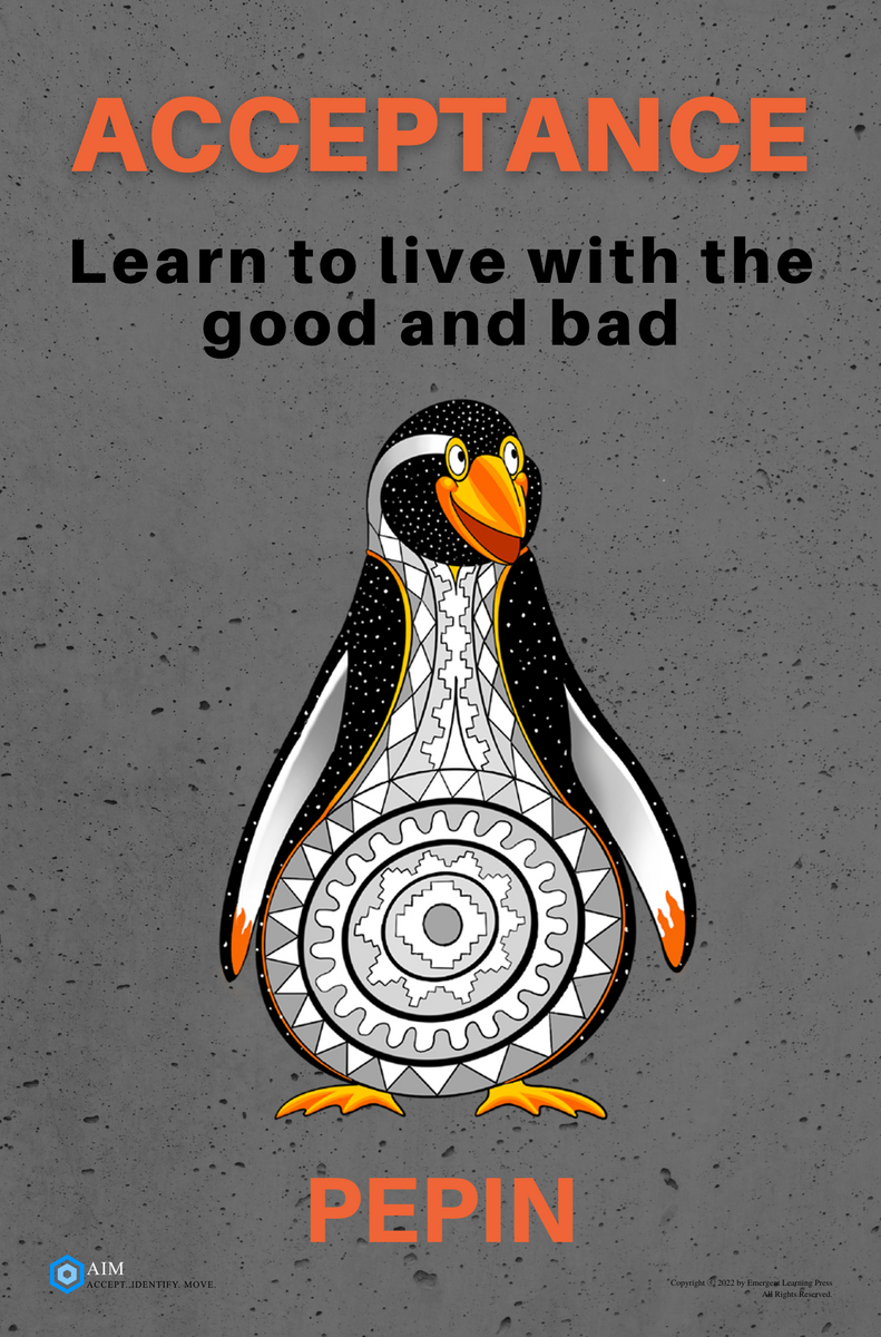 AIM Explorer Advanced Posters – Emergent Learning Press