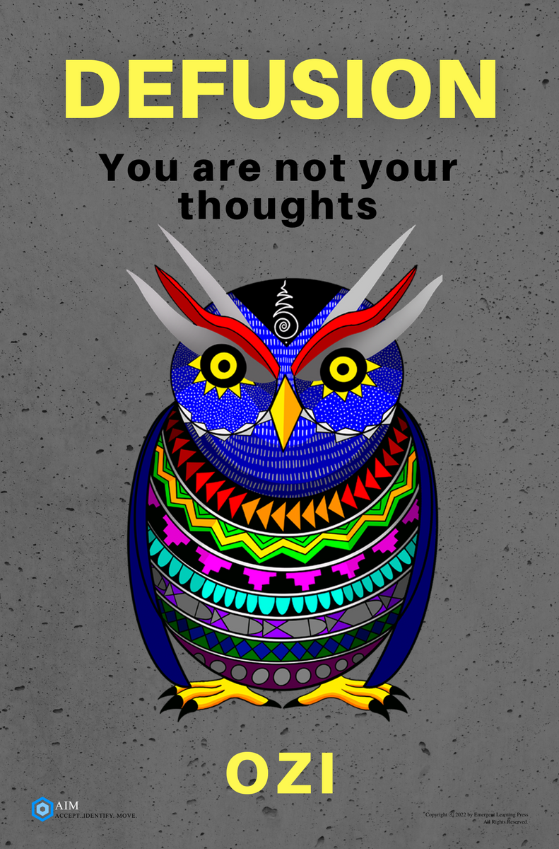 AIM Explorer Advanced Posters – Emergent Learning Press