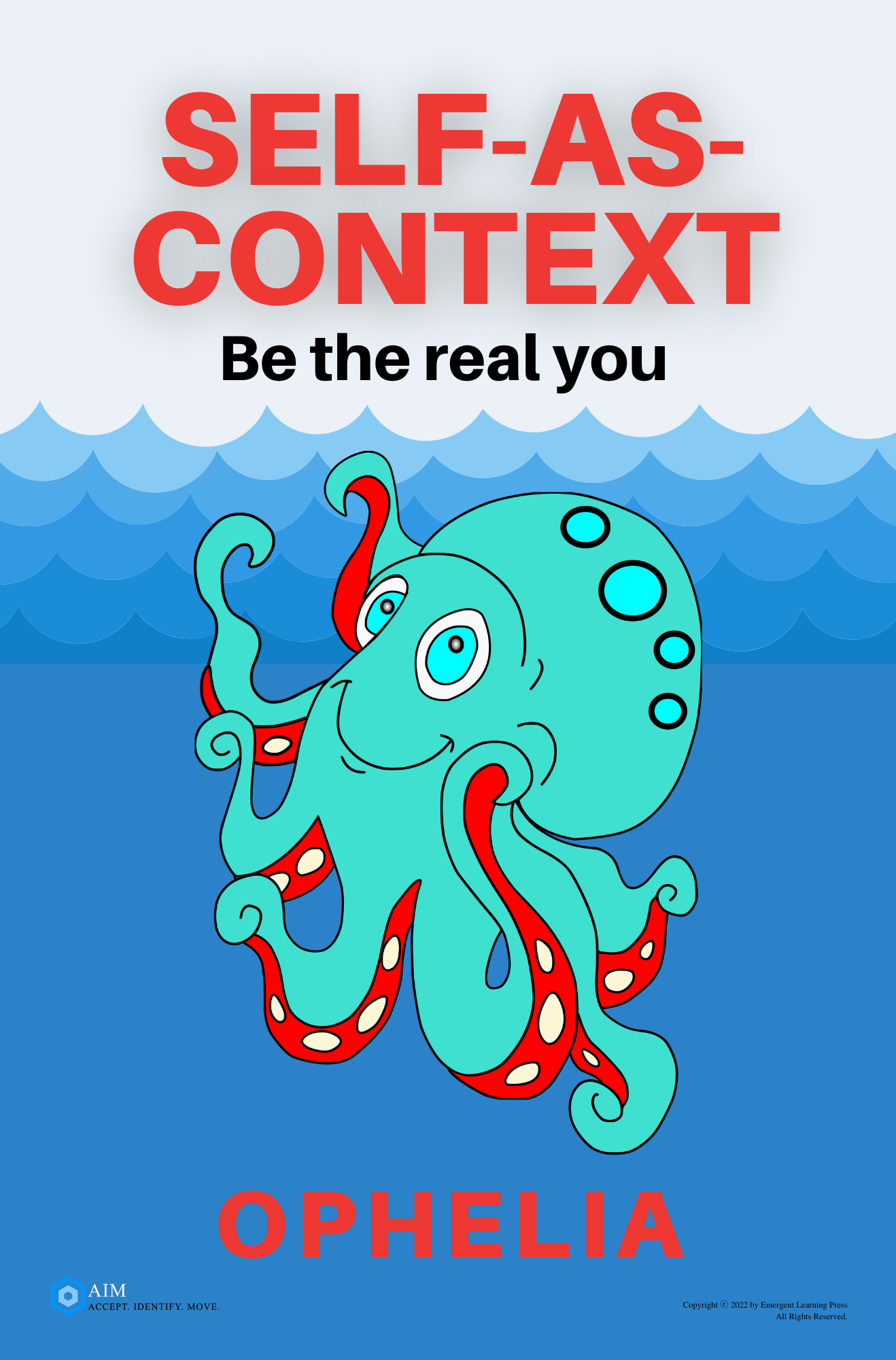 AIM Explorer Posters – Emergent Learning Press