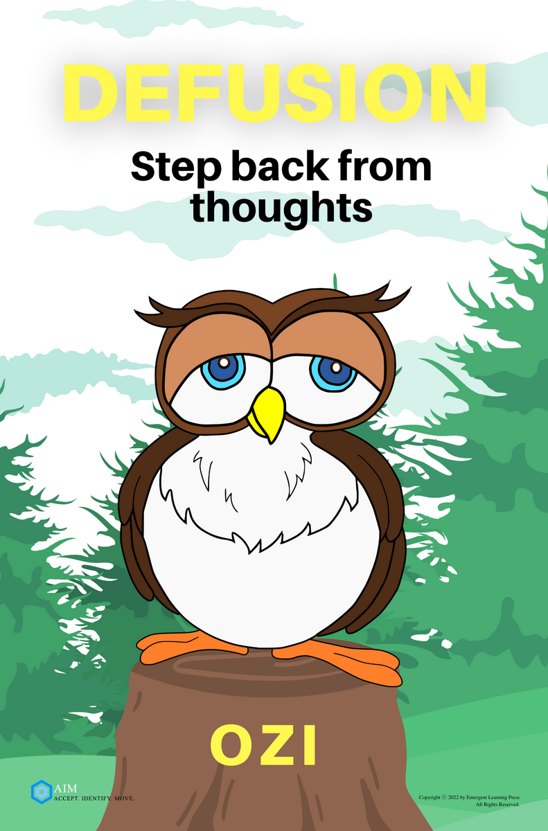 AIM Explorer Posters – Emergent Learning Press