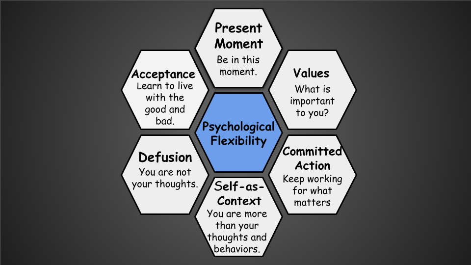 Hexaflex Vinyl Banner: Red or Blue – Emergent Learning Press