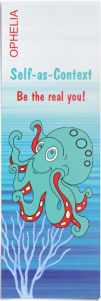 AIM Explorer Bookmarks (5 of each Explorer, 30 Total) – Emergent ...