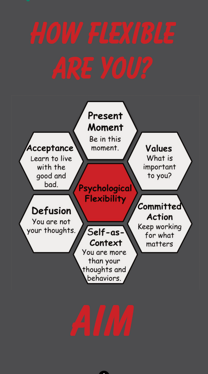 Hexaflex Vinyl Banner: Red or Blue – Emergent Learning Press