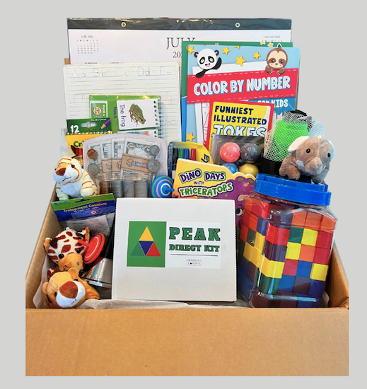 PEAK Direct Materials Kit – Emergent Learning Press