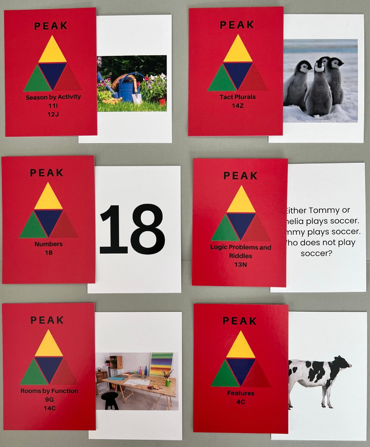 PEAK Generalization Materials Kit – Emergent Learning Press